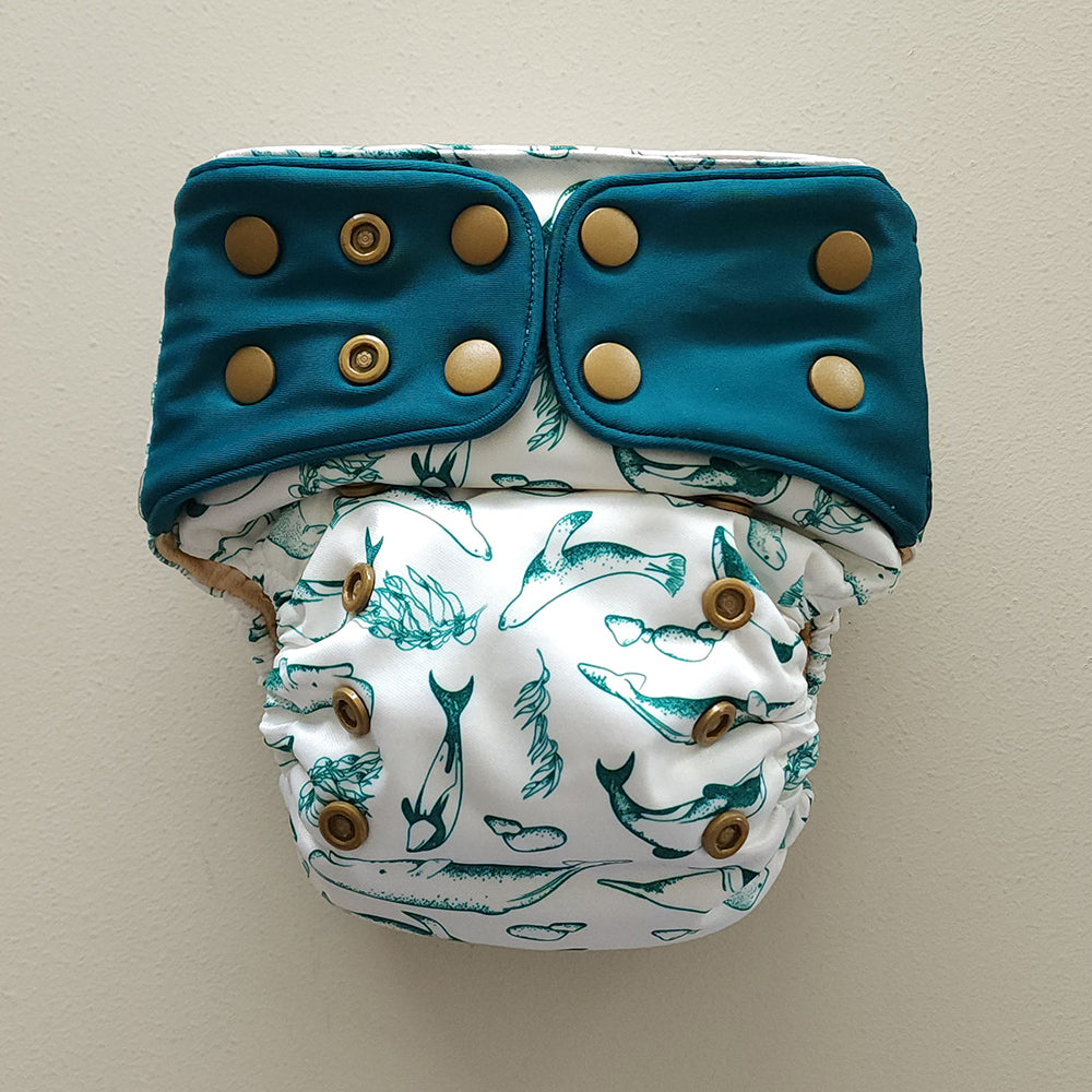 Kekoa Premium | Kaikoura